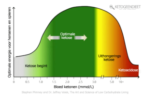 Wat is Ketose en Wat zijn de Gezondheidsvoordelen? | Keto.nl