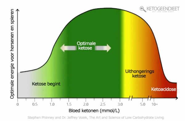 Wat is Ketose en Wat zijn de Gezondheidsvoordelen? | Keto.nl