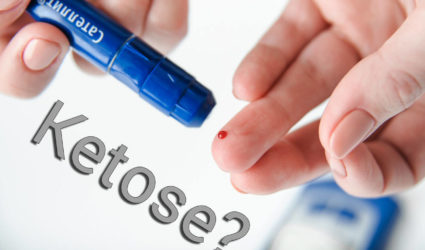 Keto.nl | Keto doe je niet alleen, we doen dit samen